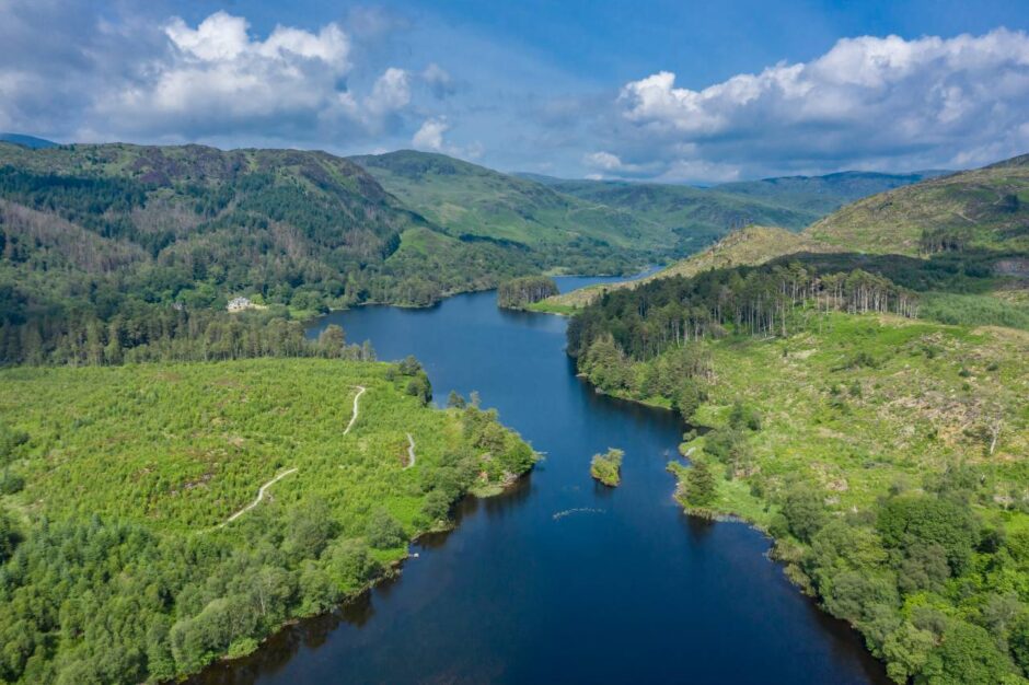 Discover Galloway Forest Park - Scotland's Hidden Gem - Destination Balcary